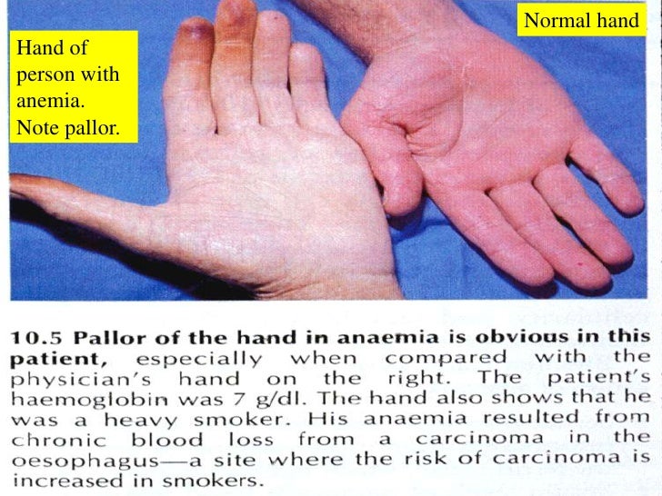02 Integumentary System
