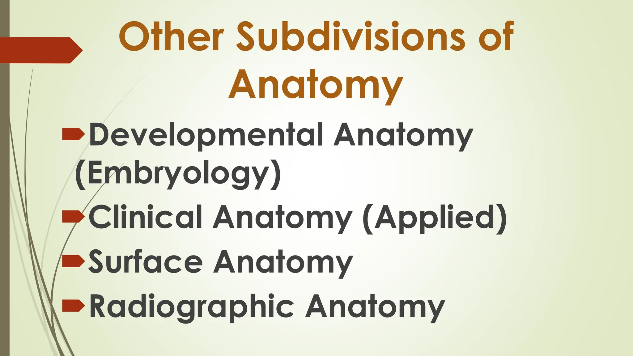 02 introduction to anatomy of the human body | PDF