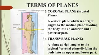 02 introduction to anatomy of the human body | PDF