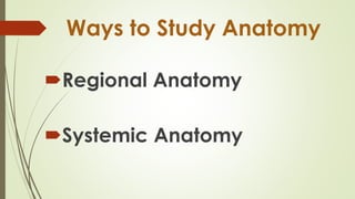 02 introduction to anatomy of the human body | PDF