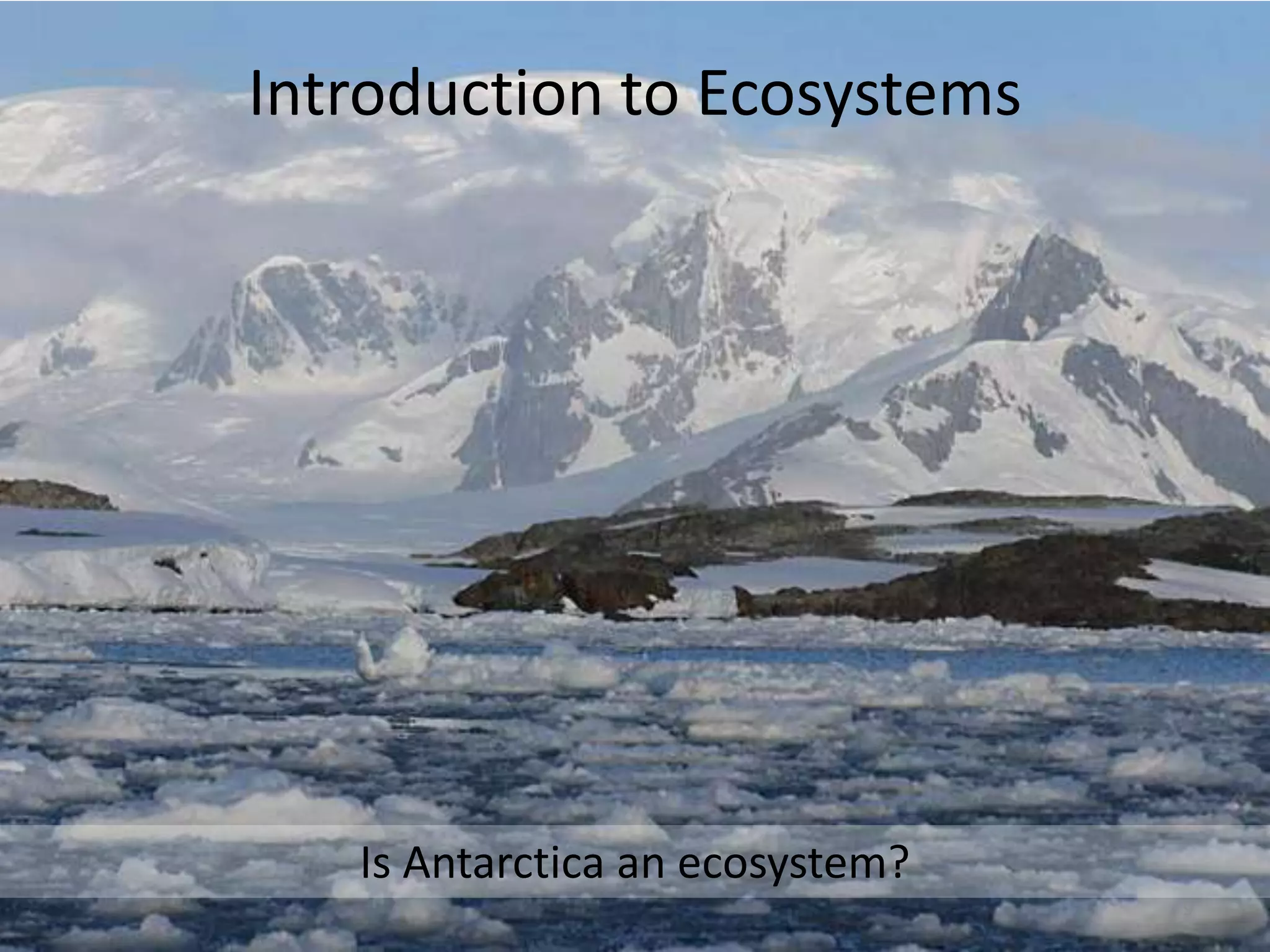 02 introduction to ecosystems | PPTX