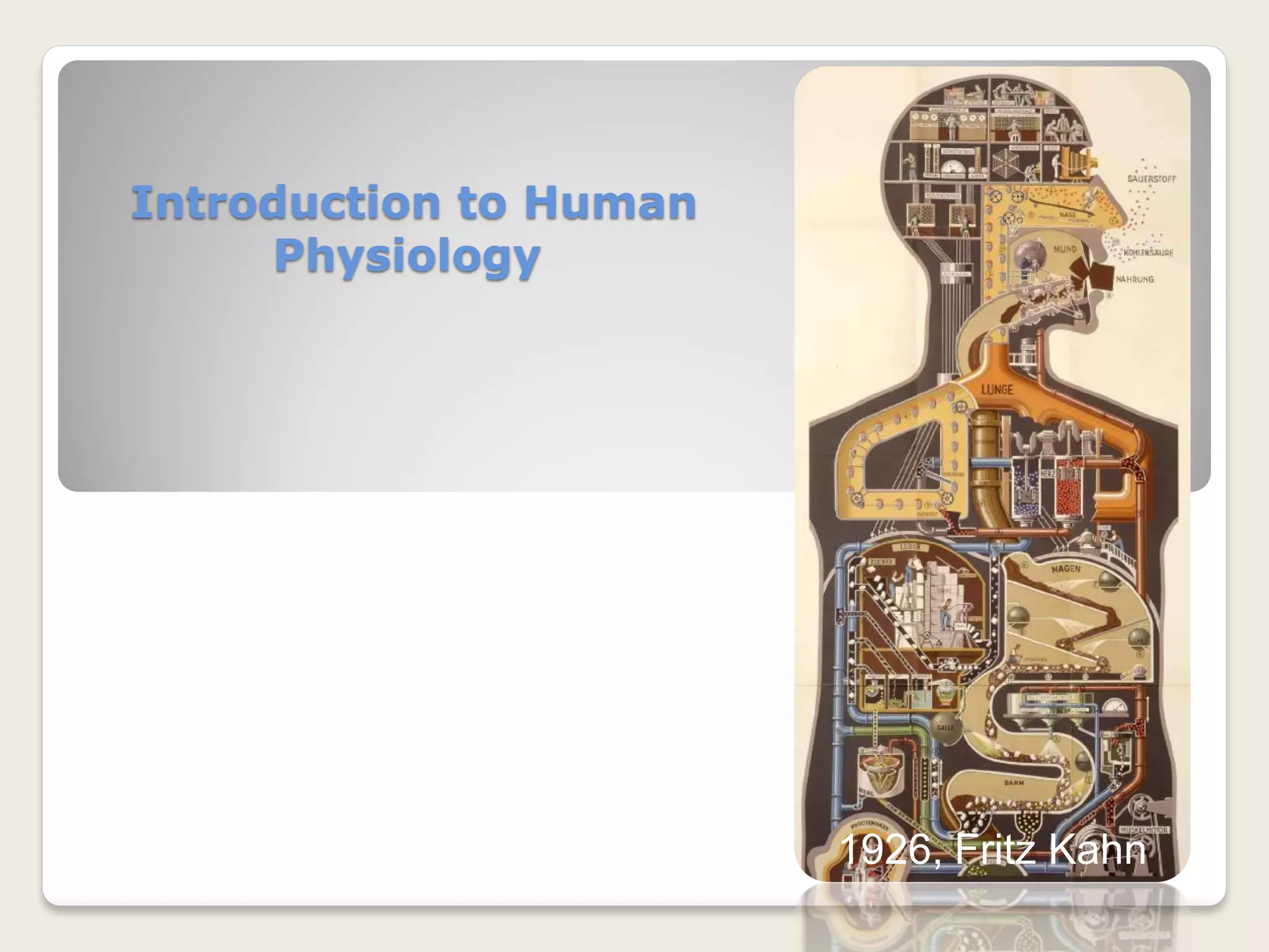 Introduction to human physiology | PDF