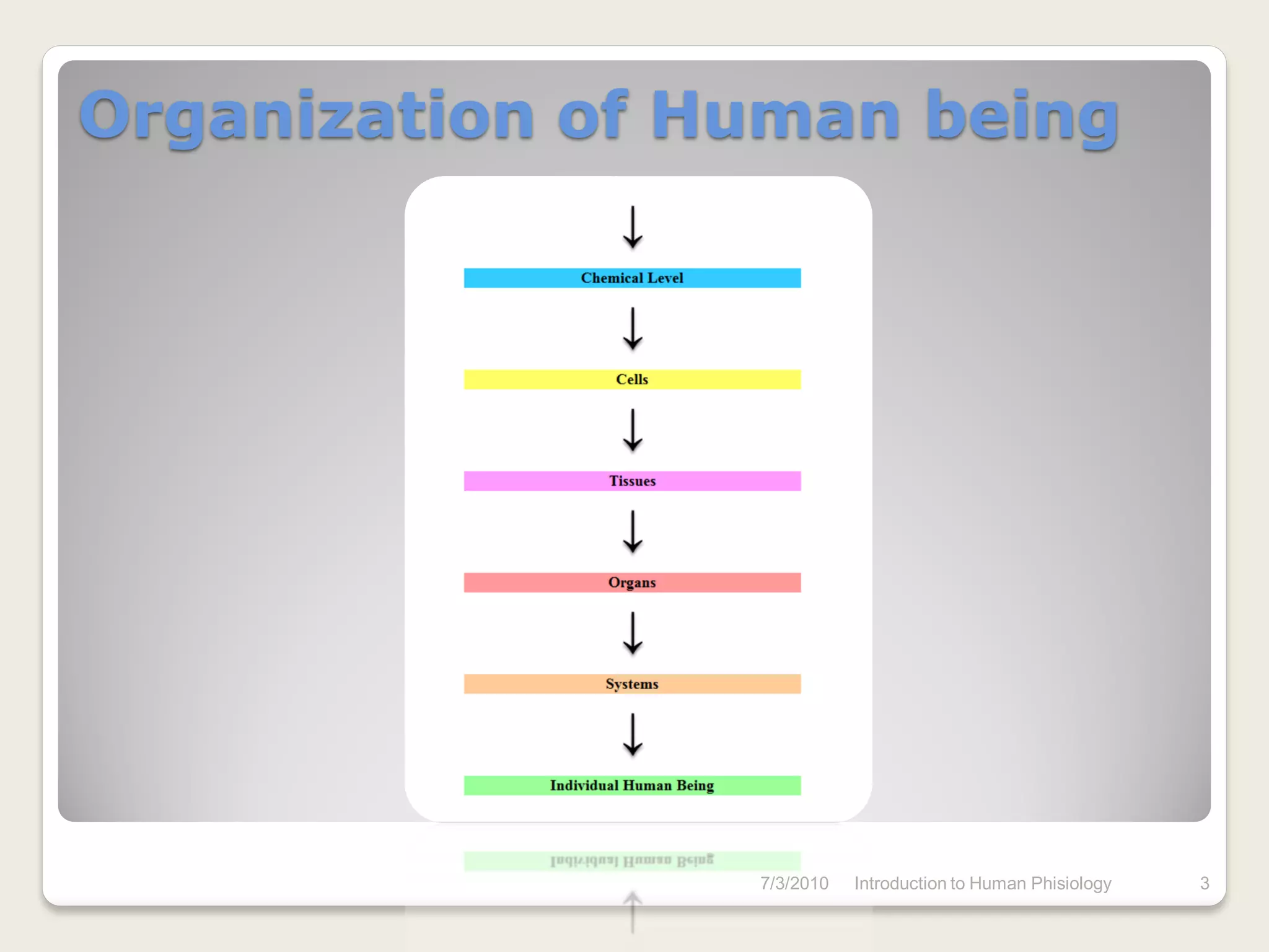Introduction to human physiology | PDF