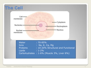 Introduction to human physiology | PDF