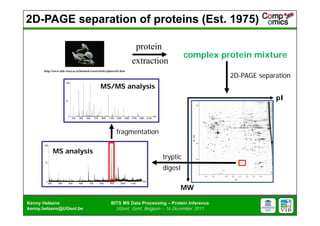 BITS - Introduction to proteomics | PDF
