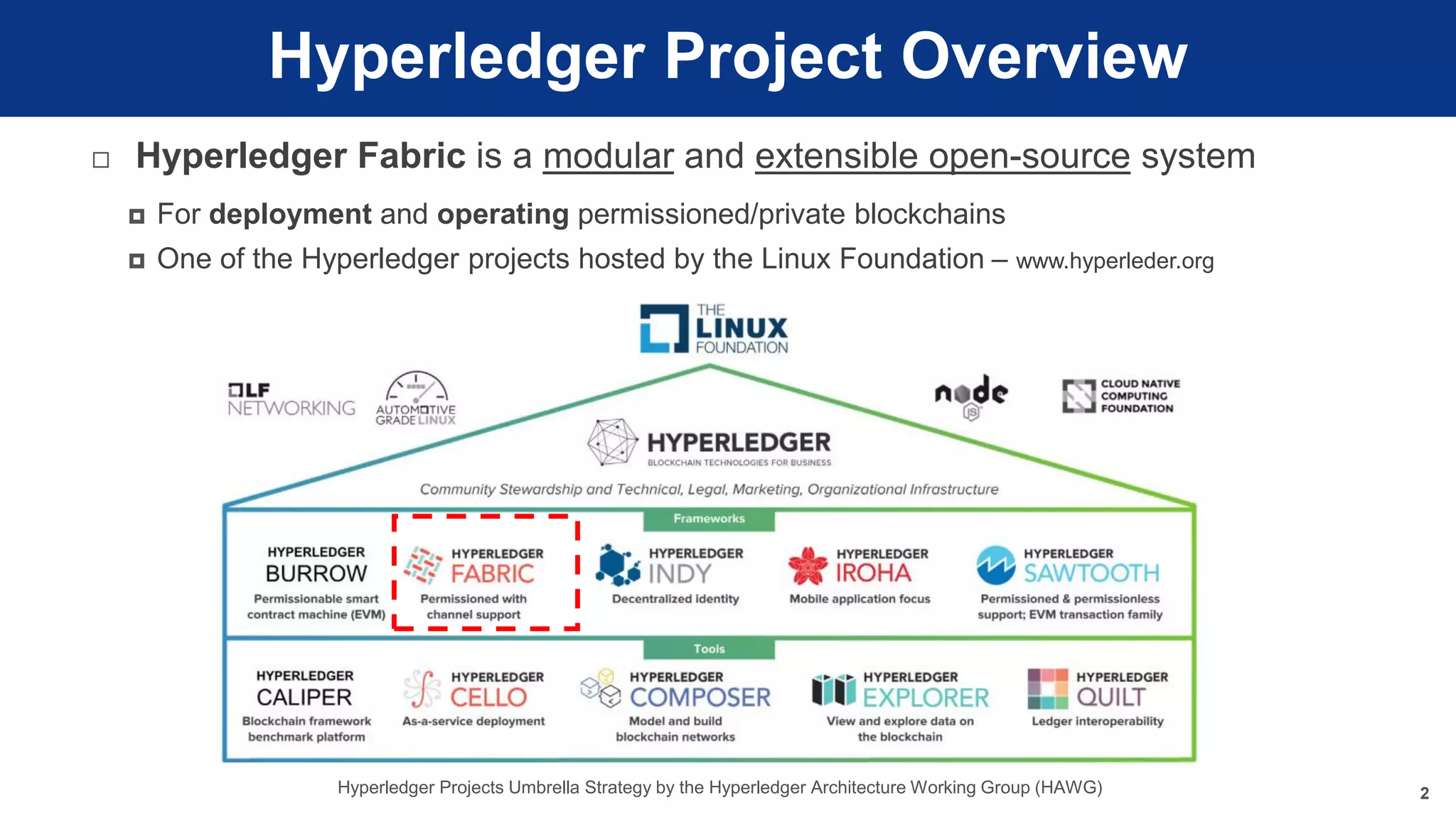 02 - Introduction to Hyperledger Fabric | PPT