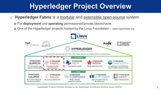 02 - Introduction to Hyperledger Fabric | PPT