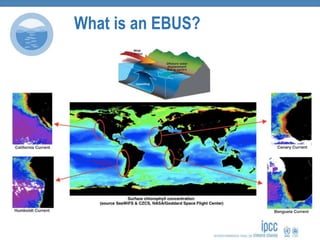 Responses of Coupled Human-Natural Eastern Boundary Upwelling Systems ...