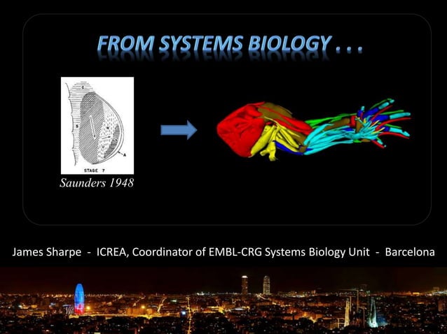 BRN Seminar 12/06/14 From Systems Biology | PPTX