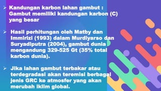 02_Konservasi Lingkungan lahan gambut.pdf