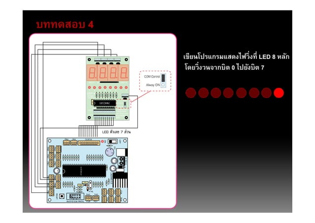 02 lab microbox1 | PPT