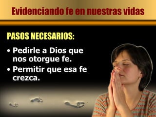 02 La Fe Sef | PPT
