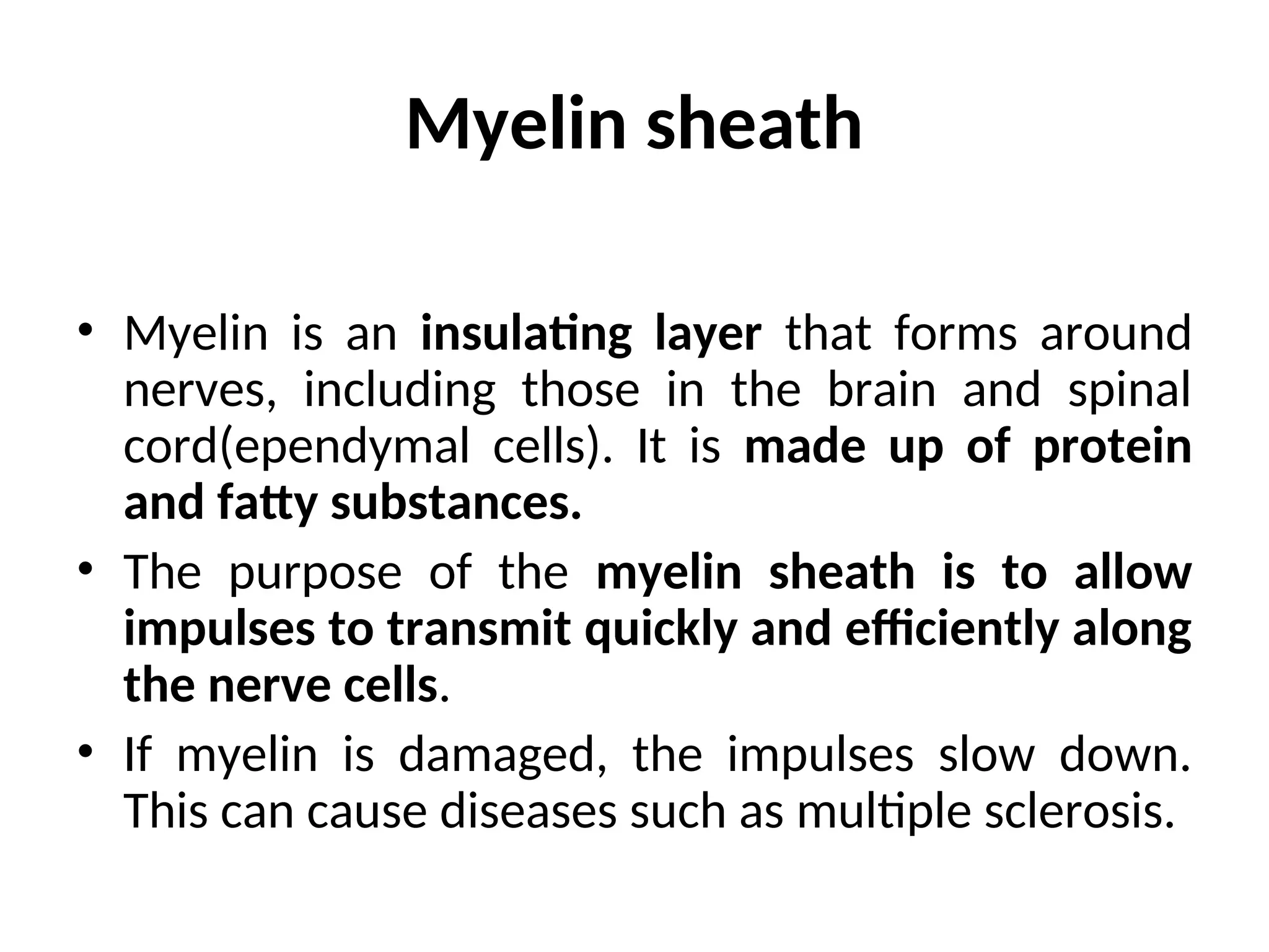 02 Lecture ..General Anatomy-of-the-Nervous-System(General anatomy of ...