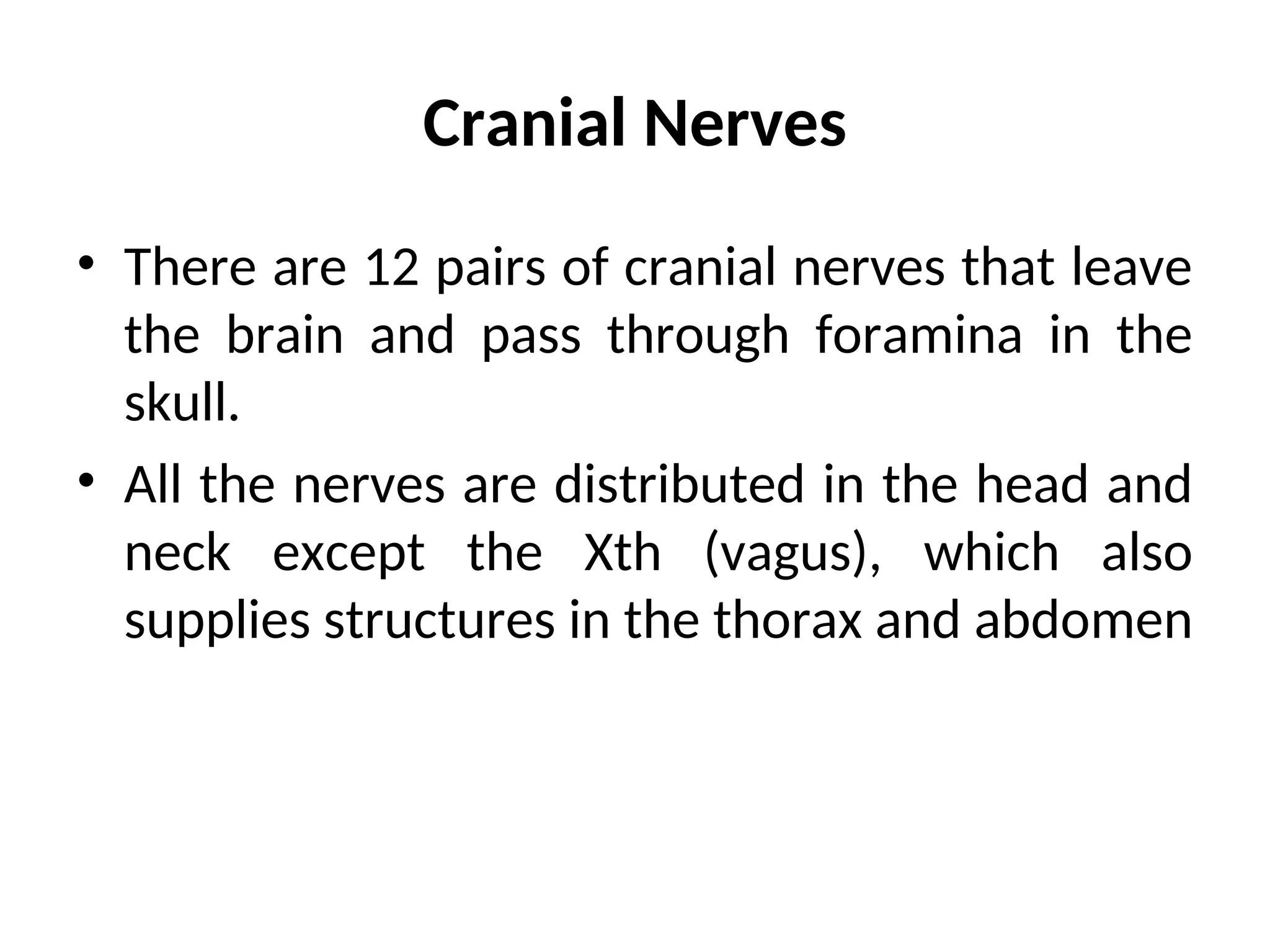02 Lecture ..General Anatomy-of-the-Nervous-System(General anatomy of ...