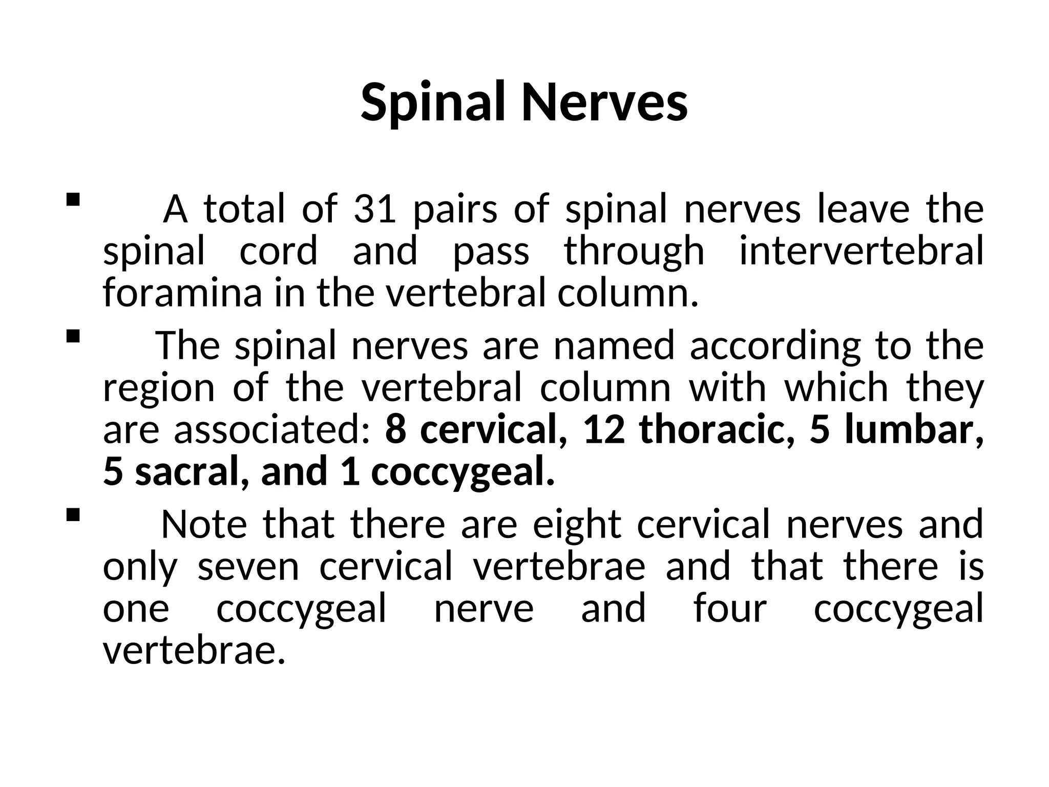 02 Lecture ..General Anatomy-of-the-Nervous-System(General anatomy of ...