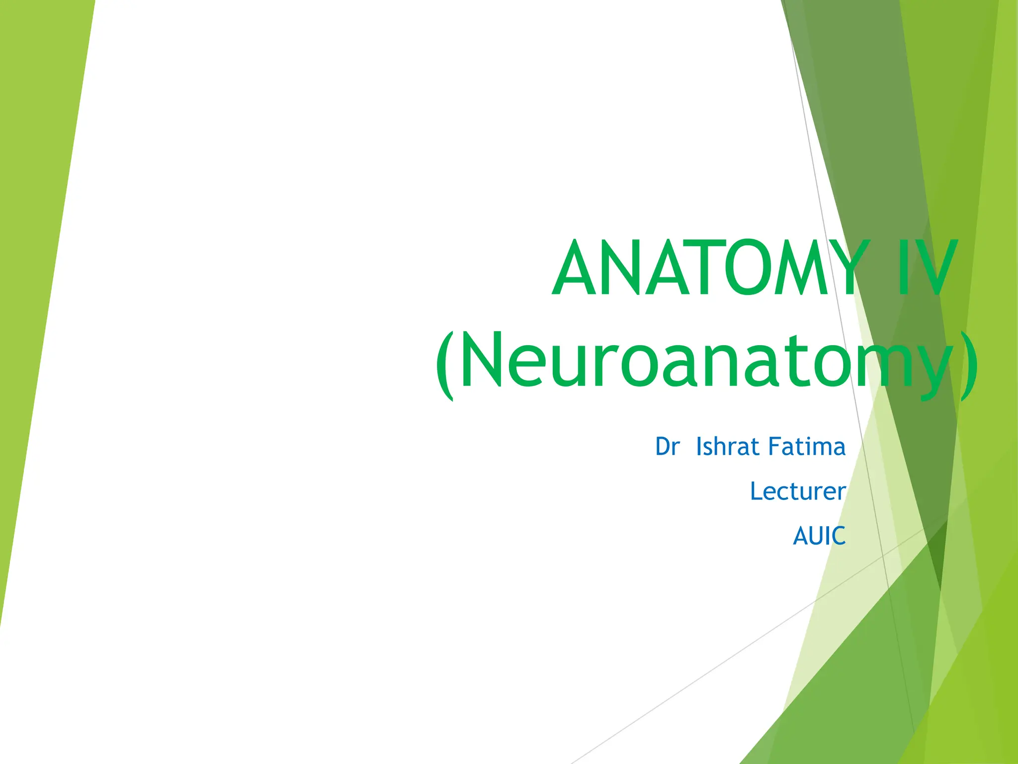 02 Lecture DPT 4 Neuroanatomy CEREBRAL HEMISPHERE Abdul Ghafoor Sajjad.ppt