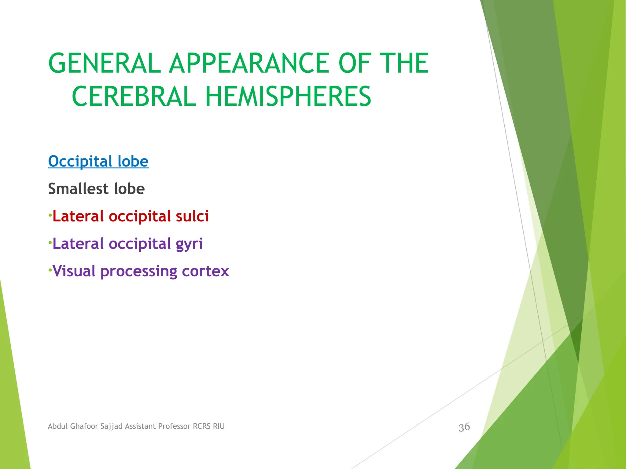 02 Lecture DPT 4 Neuroanatomy CEREBRAL HEMISPHERE Abdul Ghafoor Sajjad.ppt