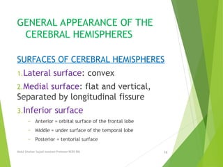 02 Lecture DPT 4 Neuroanatomy CEREBRAL HEMISPHERE Abdul Ghafoor Sajjad.ppt