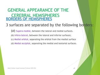 02 Lecture DPT 4 Neuroanatomy CEREBRAL HEMISPHERE Abdul Ghafoor Sajjad.ppt