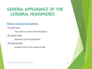 02 Lecture DPT 4 Neuroanatomy CEREBRAL HEMISPHERE Abdul Ghafoor Sajjad.ppt