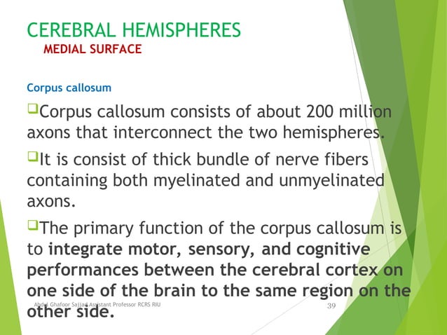 02 Lecture DPT 4 Neuroanatomy CEREBRAL HEMISPHERE Abdul Ghafoor Sajjad.ppt