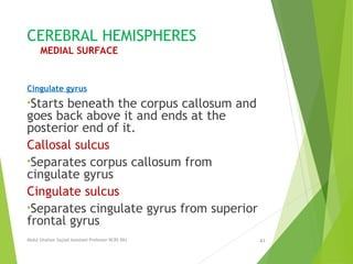 02 Lecture DPT 4 Neuroanatomy CEREBRAL HEMISPHERE Abdul Ghafoor Sajjad.ppt