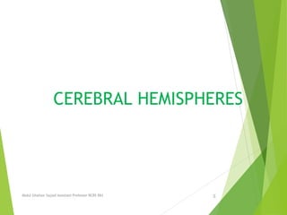 02 Lecture DPT 4 Neuroanatomy CEREBRAL HEMISPHERE Abdul Ghafoor Sajjad.ppt