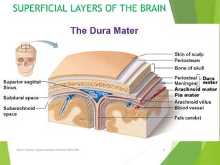 02 Lecture DPT 4 Neuroanatomy CEREBRAL HEMISPHERE Abdul Ghafoor Sajjad.ppt