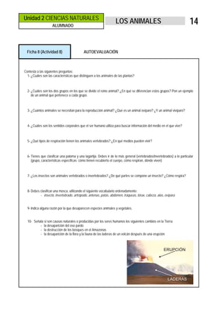 actividad 2 animales. | PDF