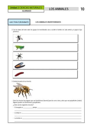 02 los animales_alumnado | PDF