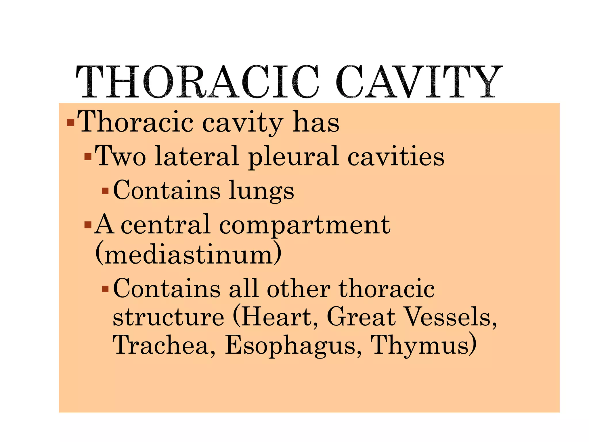 Lungs & Pleura.pptx