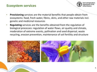FAO’s Major Area of Work on Ecosystem Services and Biodiversity | PPTX