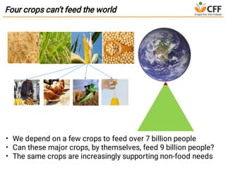 Crops for the Future: Current Activities by Max Herriman, CFF, Malaysia ...