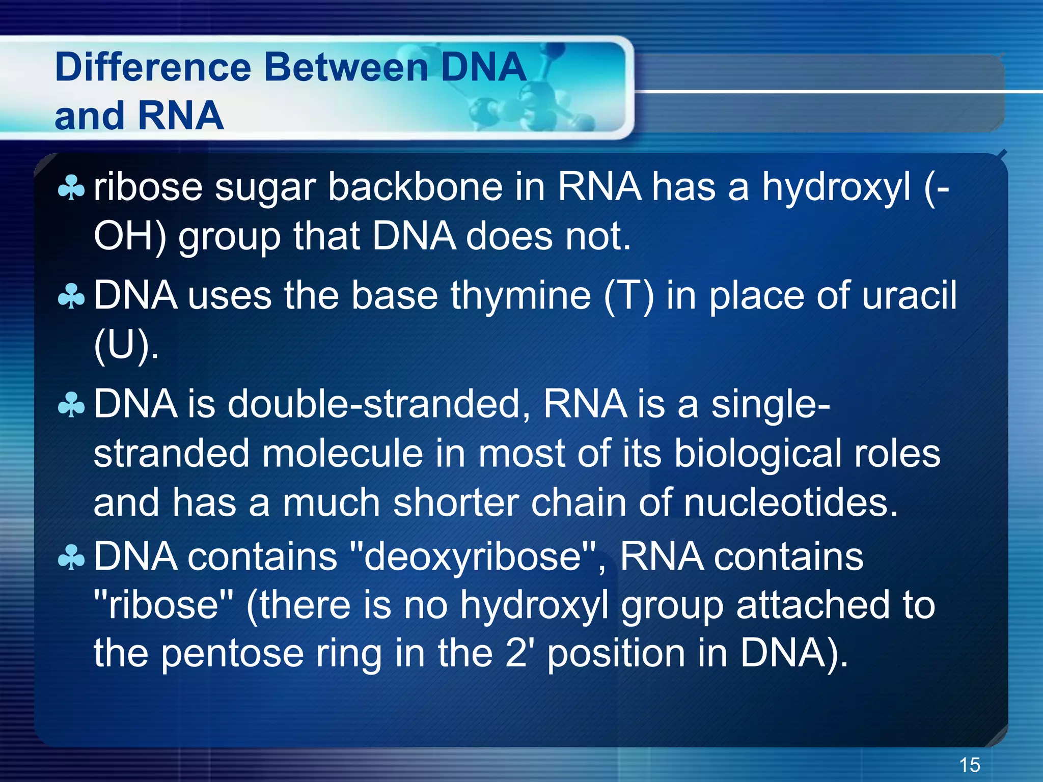 Structure Of Dna And Rna Ppt