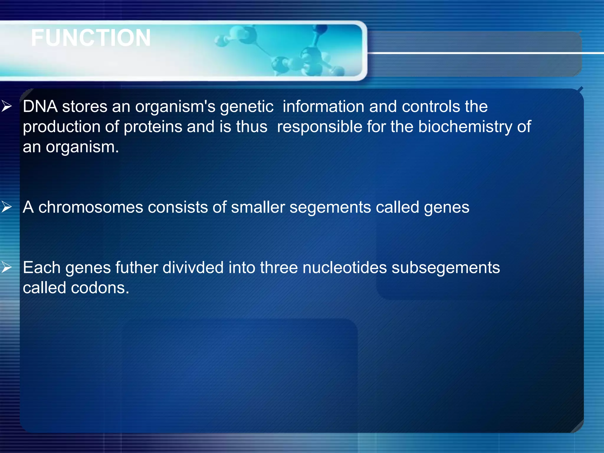 Structure of DNA & RNA | PPT