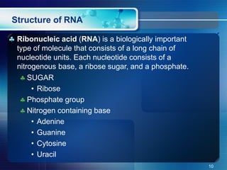 Structure of DNA & RNA | PPT
