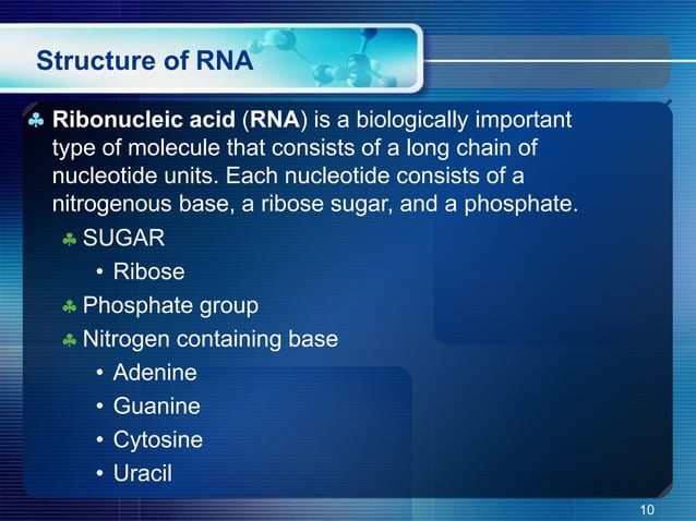 Structure of DNA & RNA | PPT