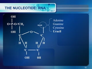 Structure of DNA & RNA | PPT
