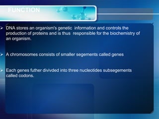 Structure of DNA & RNA | PPT