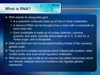 Structure of DNA & RNA | PPT