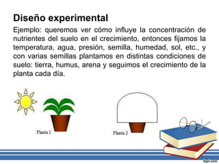 Crea Experimentos Efectivos Con El Diseño Del Método Científico – OVFRQ