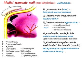 02 middle ear En Укр 020221.ppsx