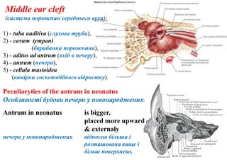 02 middle ear En Укр 020221.ppsx