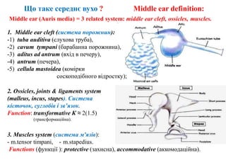 02 middle ear En Укр 020221.ppsx | Free Download