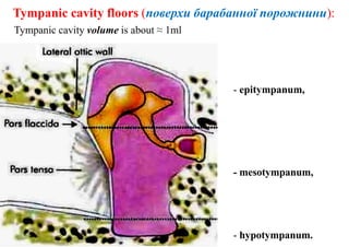 02 middle ear En Укр 020221.ppsx
