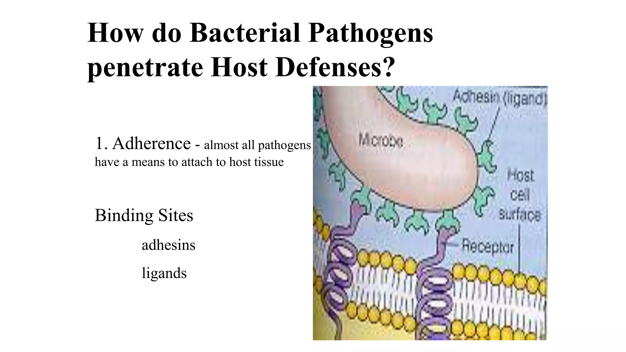 molecular mechanism of pathogenesis | PPTX