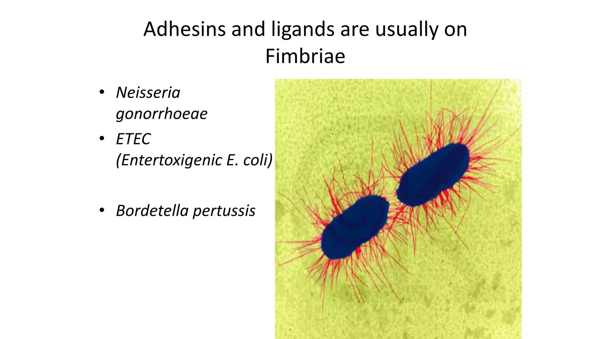 molecular mechanism of pathogenesis | PPTX