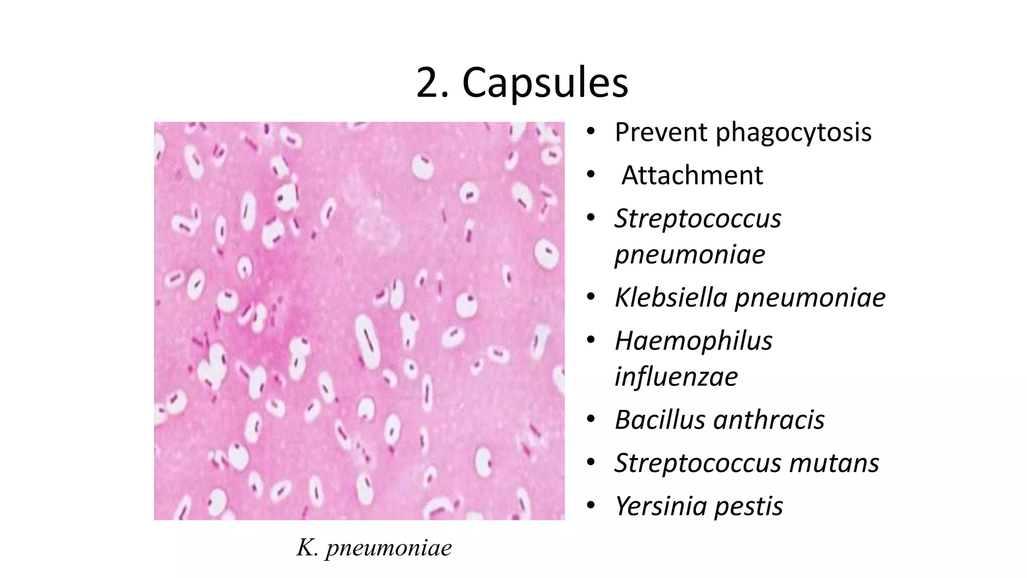 molecular mechanism of pathogenesis | PPTX