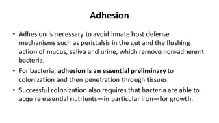 molecular mechanism of pathogenesis | PPTX