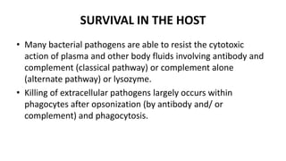 molecular mechanism of pathogenesis | PPTX